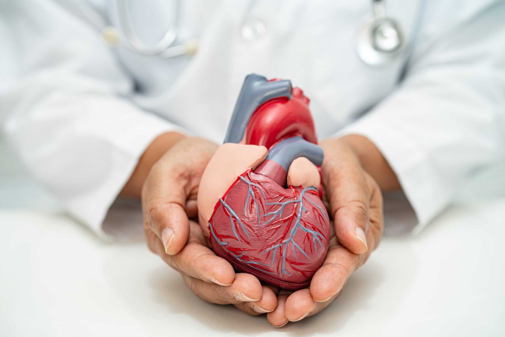 Is Testosterone Therapy Safe for Your Heart? Exploring the Link Between ...