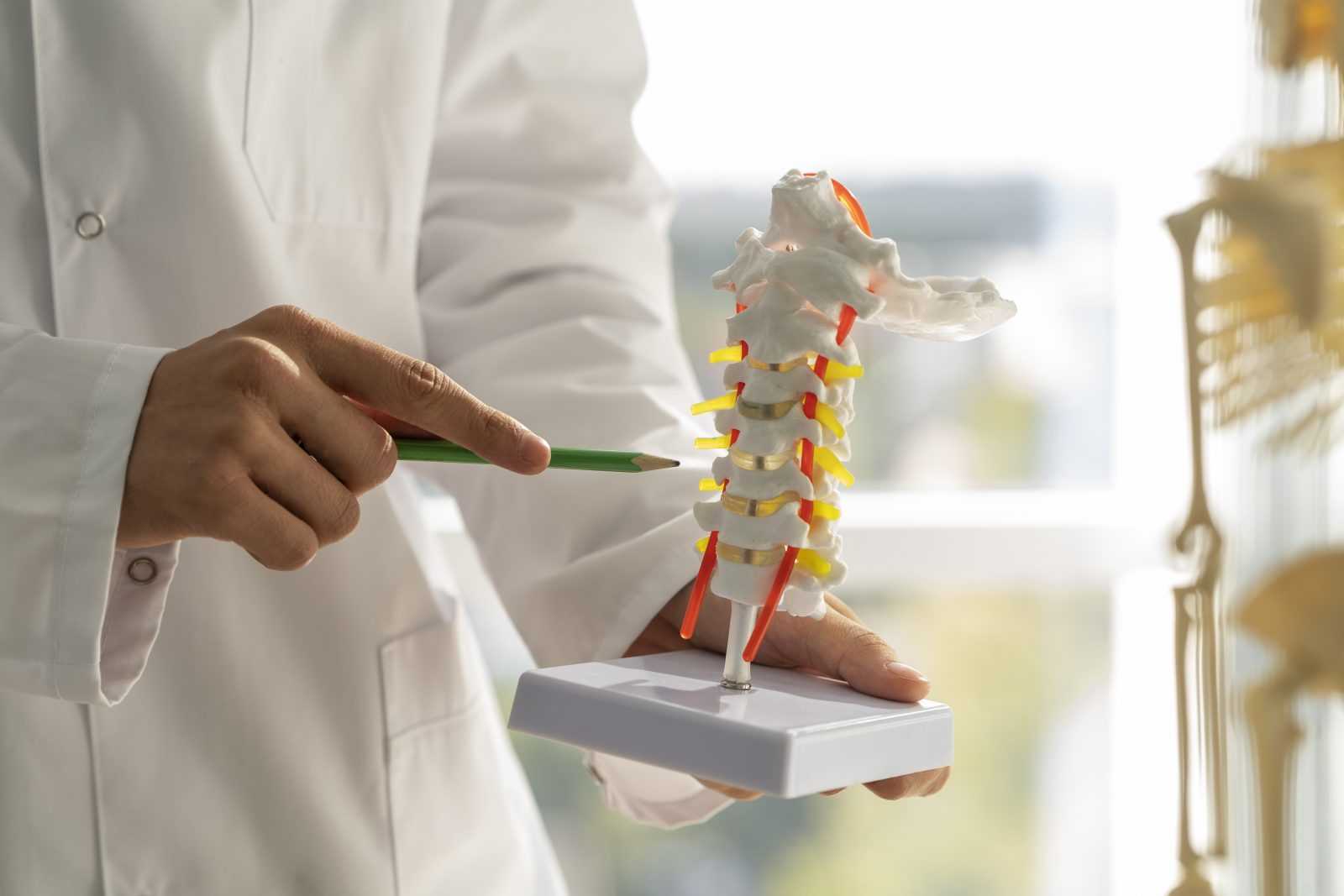 Boosting Bone Health: The Impact of Testosterone on Osteoporosis