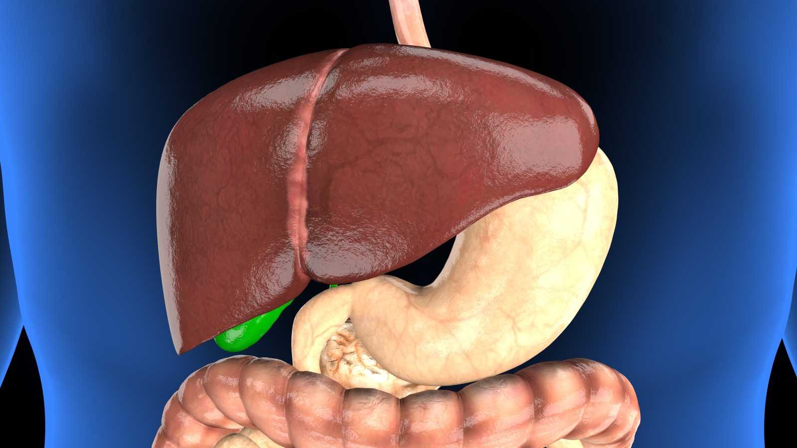 TRT and Fatty Liver: Comprehensive Guide to Treatment and Prevention
