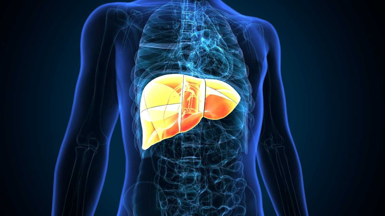 TRT and Fatty Liver: Comprehensive Guide to Treatment and Prevention