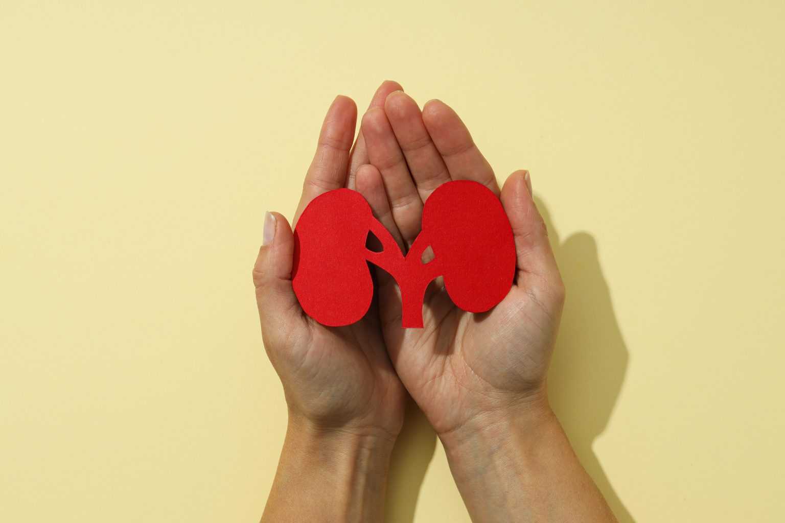 Protecting Your Kidneys While on TRT: A Comprehensive Guide