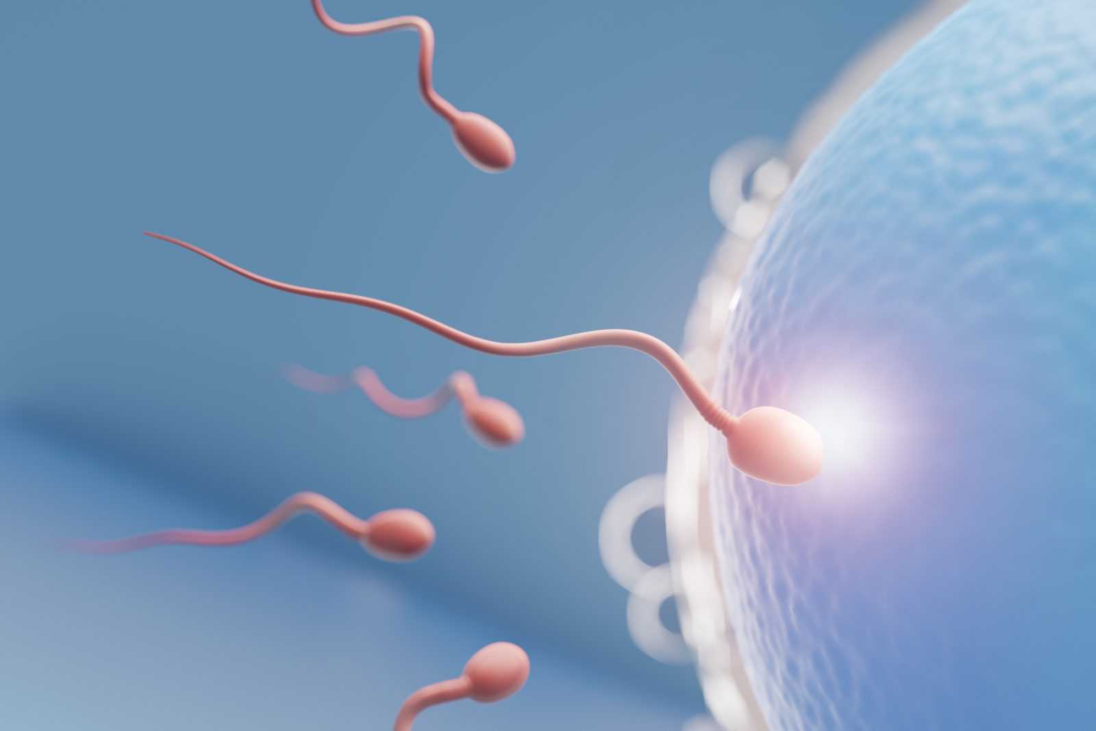 TRT and Fertility: How Testosterone Therapy Affects Male Reproductive ...