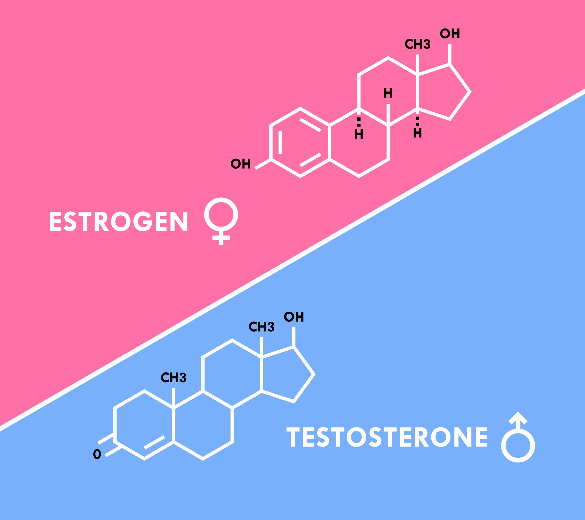 TRT and Estrogen Explained: What You Need to Know for Hormonal Harmony