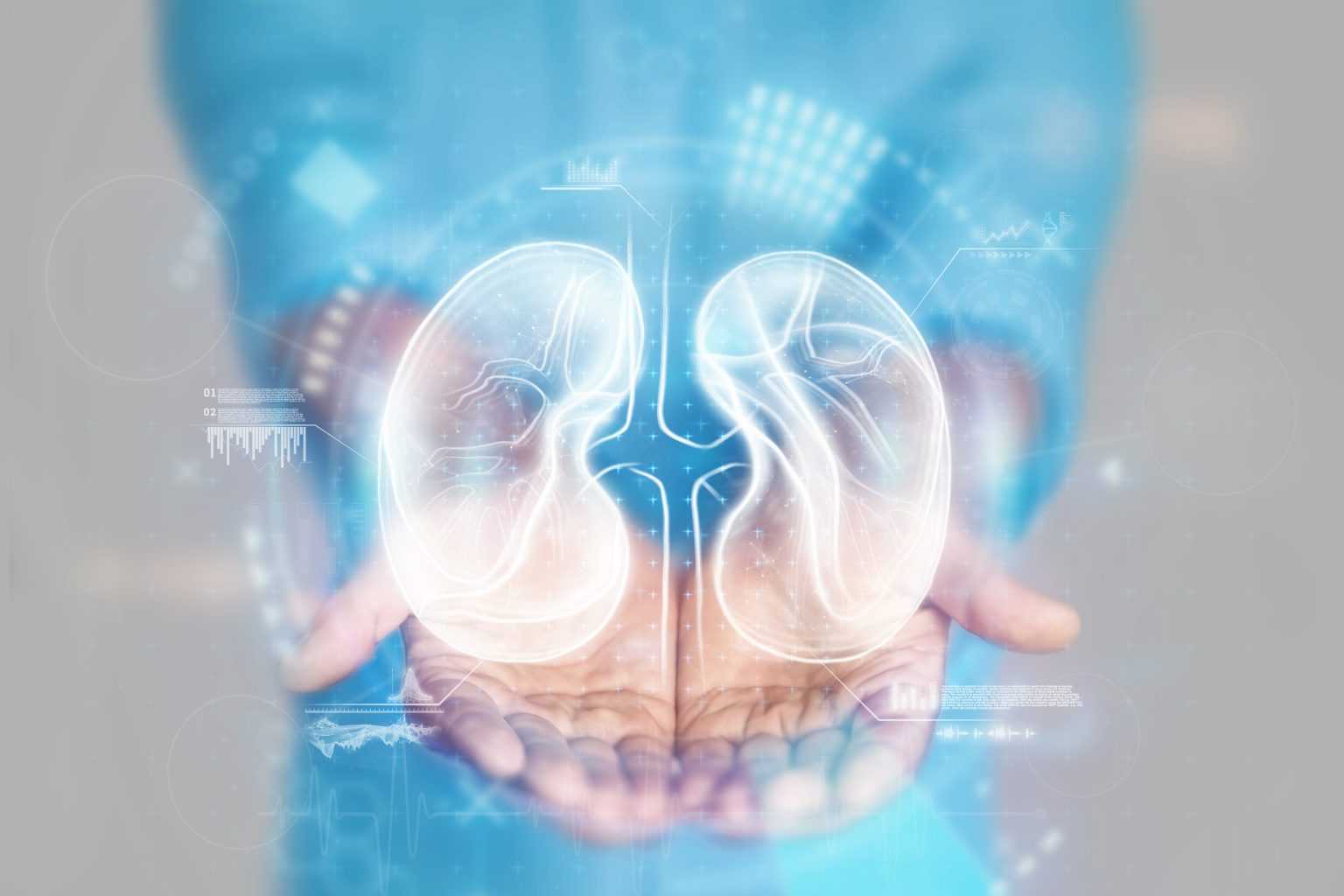 Strong Body, Strained Kidneys? The Real Effects of Testosterone Therapy