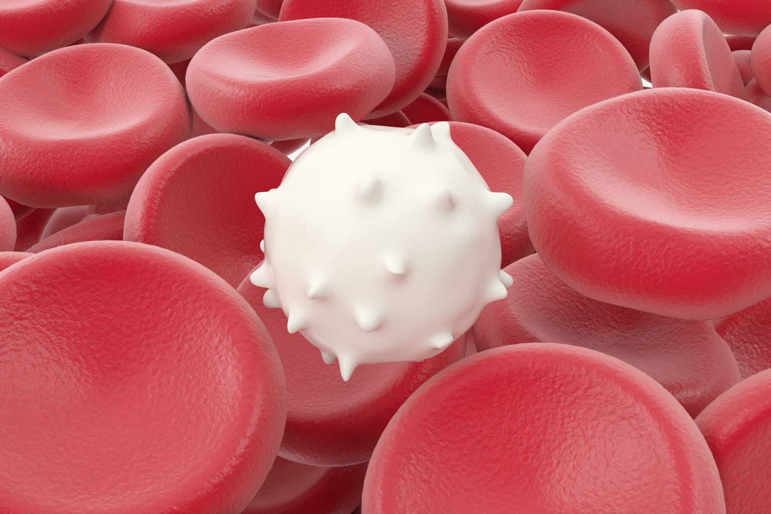 Low T Lymphocytes Uncovered: What Happens When Your Immune Army Shrinks