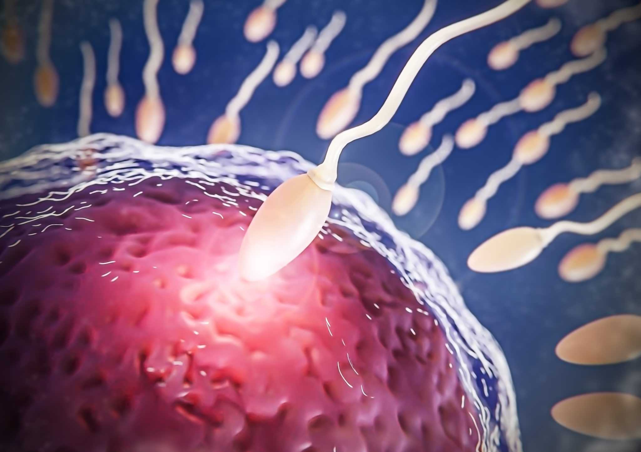 Low T and Fertility: The Hormonal Puzzle Behind Male Reproductive Health