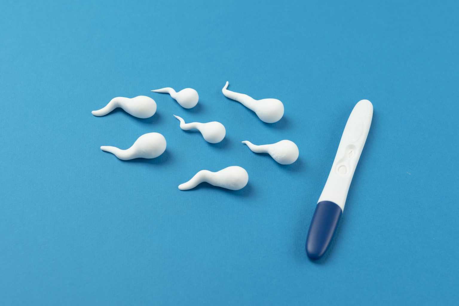 Low T and Fertility: The Hormonal Puzzle Behind Male Reproductive Health