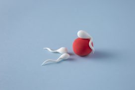 Low T and Fertility: The Hormonal Puzzle Behind Male Reproductive Health