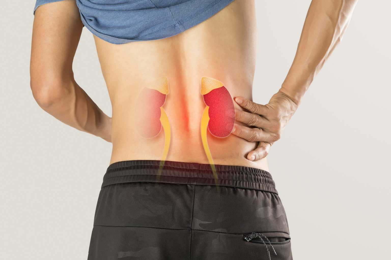 Clomid and Kidney Function: Symptoms, Warning Signs, and How to Stay Safe