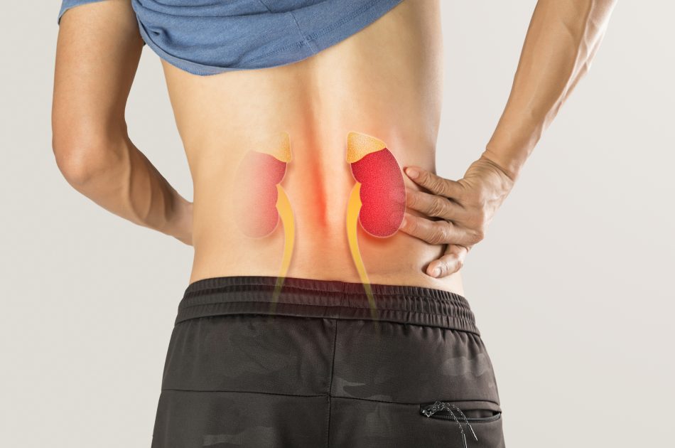 Clomid and Kidney Function: Symptoms, Warning Signs, and How to Stay Safe