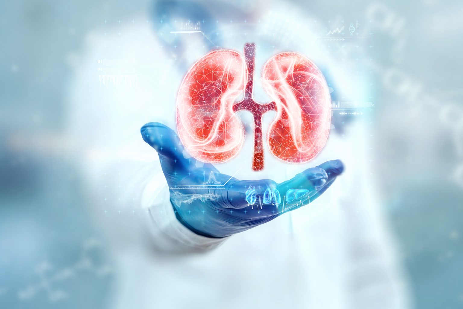 Clomid and Kidney Function: Symptoms, Warning Signs, and How to Stay Safe