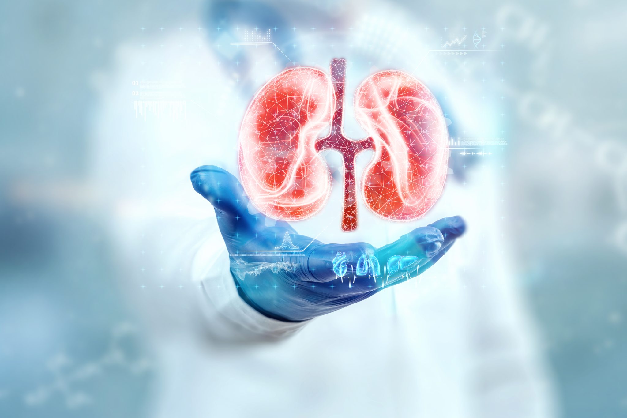 Clomid and Kidney Function: Symptoms, Warning Signs, and How to Stay Safe